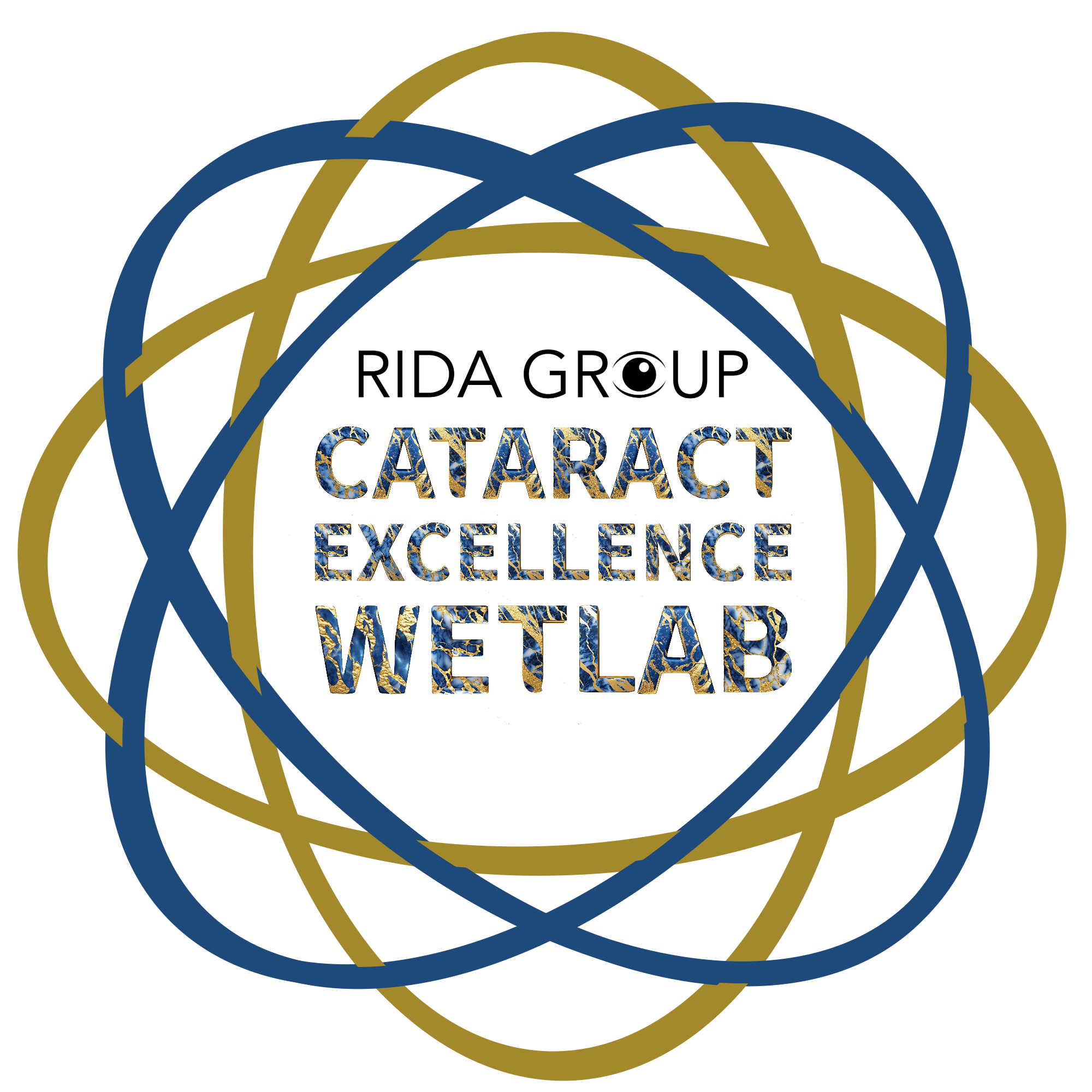 Wetlab RIDA Group - CATARACT EXCELLENCE 2024